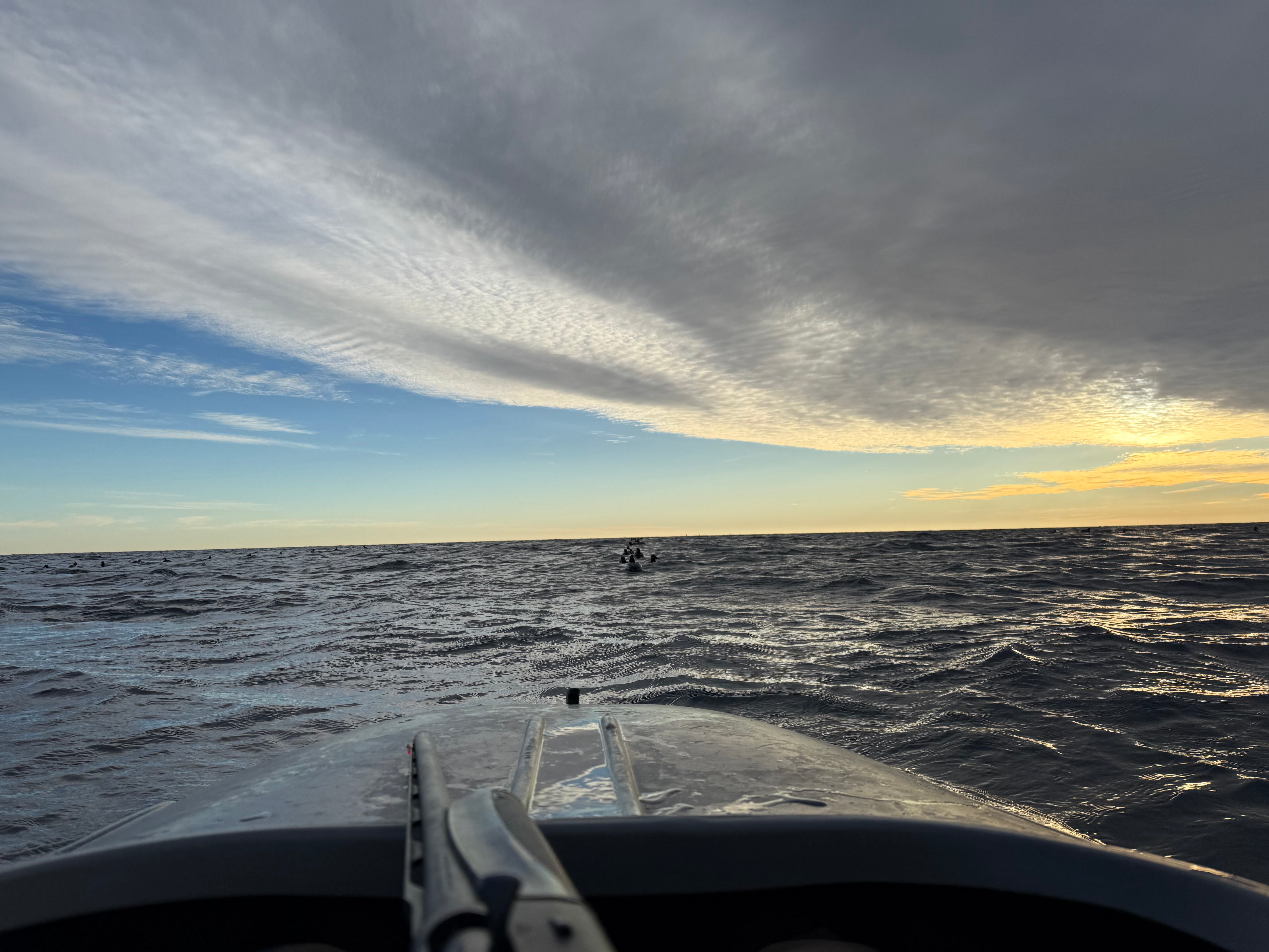 Open Water (Layout) Hunt – The Fowl Drake